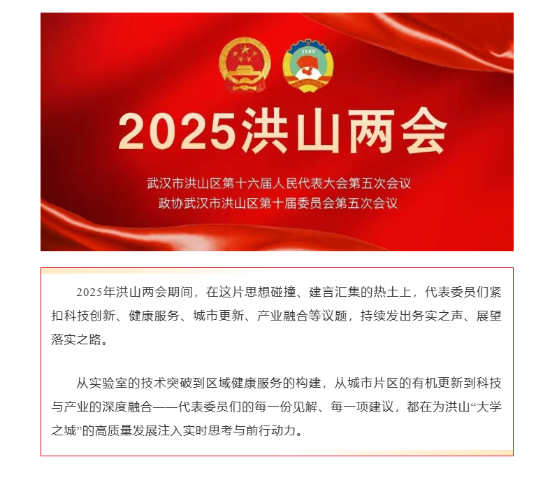 两会进行时丨代表委员齐发声（二） - 武汉市洪山区人民政府门户网站
