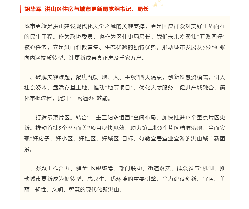 两会进行时丨代表委员齐发声（二） - 武汉市洪山区人民政府门户网站